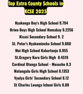 Best Performing Extra County Schools In Kenya 2025 - Elimu Centre